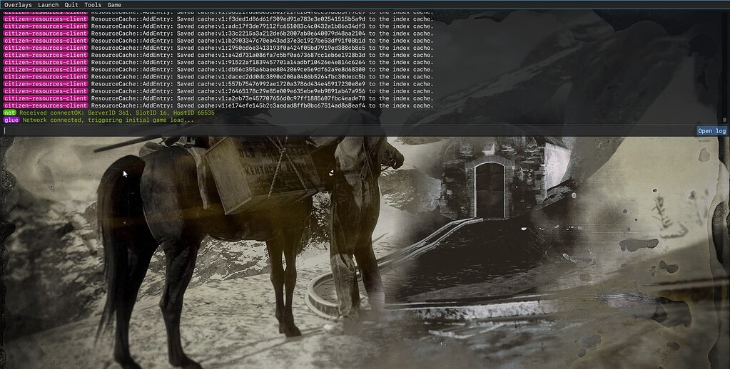 Triggering Initial Game Load Bug Reports Cfx Re Community