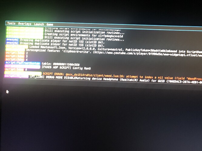 Awaiting Scripts Issue 2021 Server Discussion Cfx Re Community