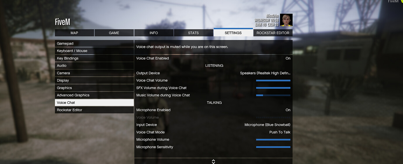 Microphone Issues - FiveM Client Support - Cfx.re Community