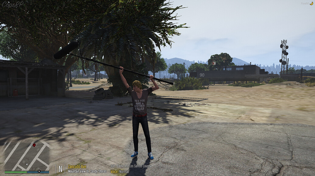 [Release] Weazel News Camera and Mic *Updated - Page 4 - FiveM Releases ...