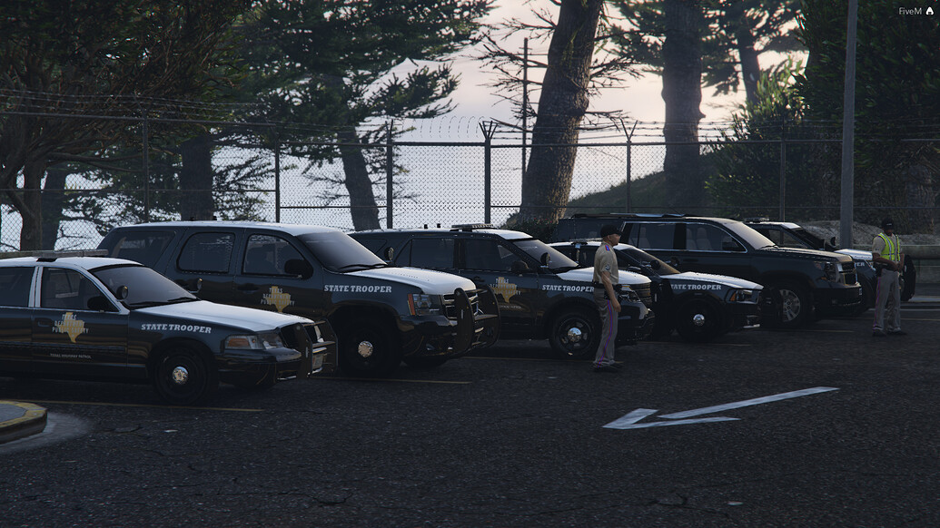 TEXAS STATE RP|Whitelisted Server|Active Members|17+ - Server Bazaar ...