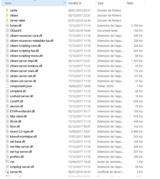 Can't run FXServer - FiveM Client Support - Cfx.re Community