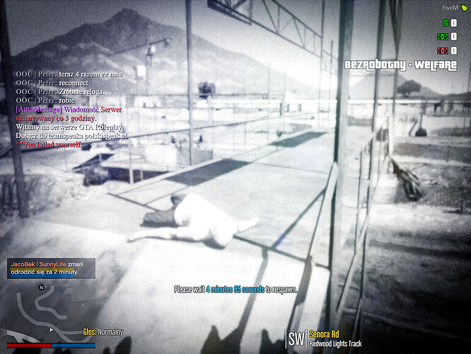 Sreach Deathscreen - Discussion - Cfx.re Community