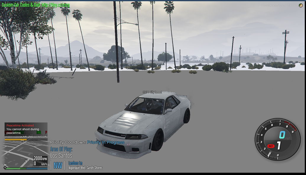 Graphics not rendering in - FiveM Client Support - Cfx.re Community