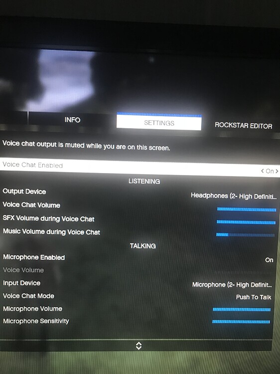 FiveM Voice Chat in game not working! - FiveM Client Support - Cfx.re ...