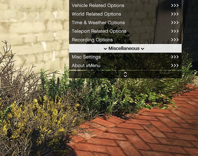 PF-vMenu (an updated/enhanced vMenu) - Page 2 - FiveM Releases - Cfx.re ...