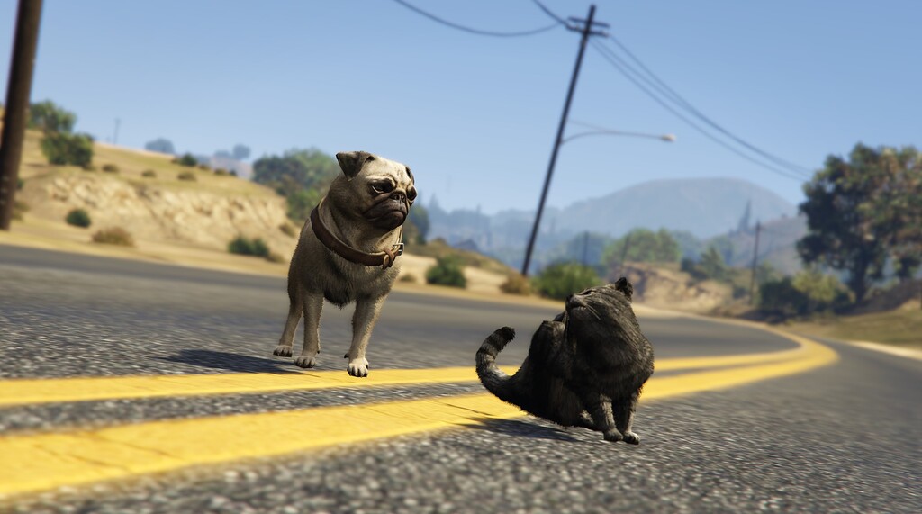 Animalsgrd - FiveM Snapmatic - Cfx.re Community