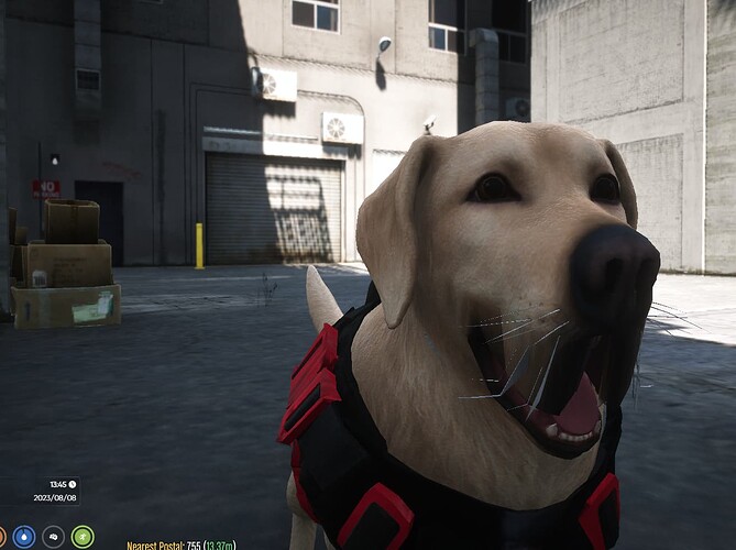 [PAID] FUTURE Golden Retriever EMS [PED] [DOGS] [PETS] - FiveM Releases ...