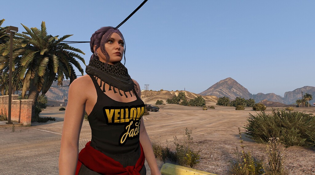 Panorama Drive - FiveM Snapmatic - Cfx.re Community