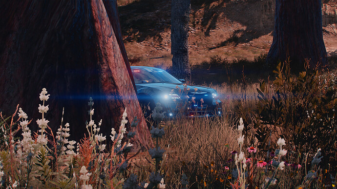 BackwoodsRP | FiveM Community - Server Bazaar - Cfx.re Community