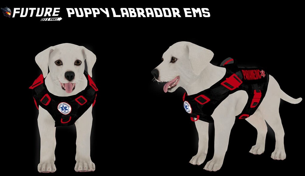 [PAID] Future Puppy Labrador EMS [PED] [DOG] [PETS] - FiveM Releases ...