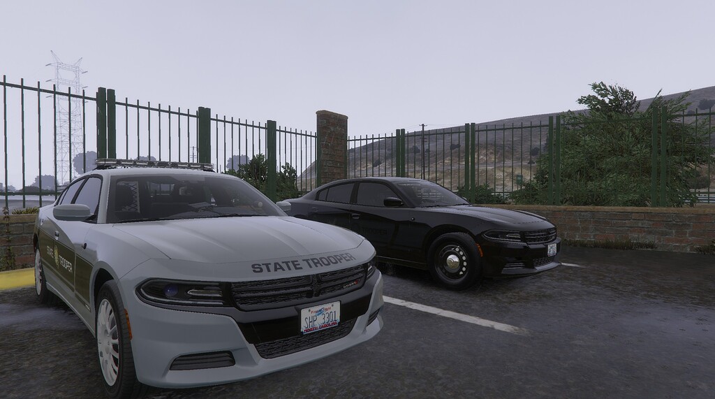 Ncshp - FiveM Snapmatic - Cfx.re Community