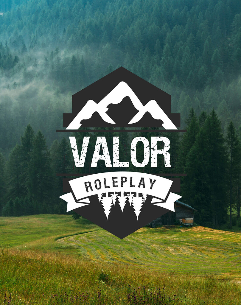 VRP | Valor Roleplay - A serious vMenu - based roleplay server ...