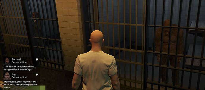 [ESX/QB/Standalone] NPC Creator w. dialogs and animations - FiveM ...