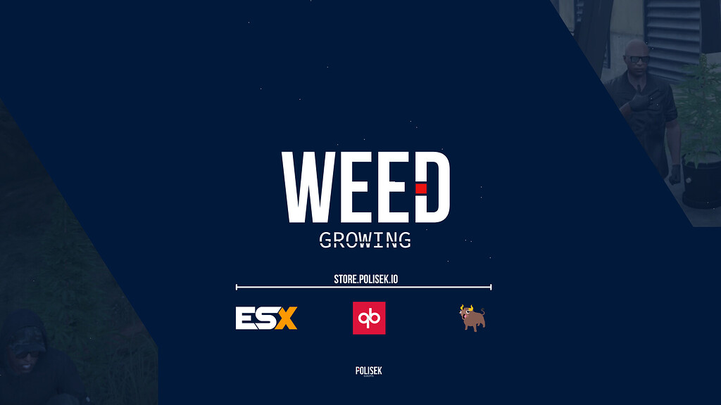 [ESX/QB/OX] Weed Growing - Create your weed empire - FiveM Releases ...