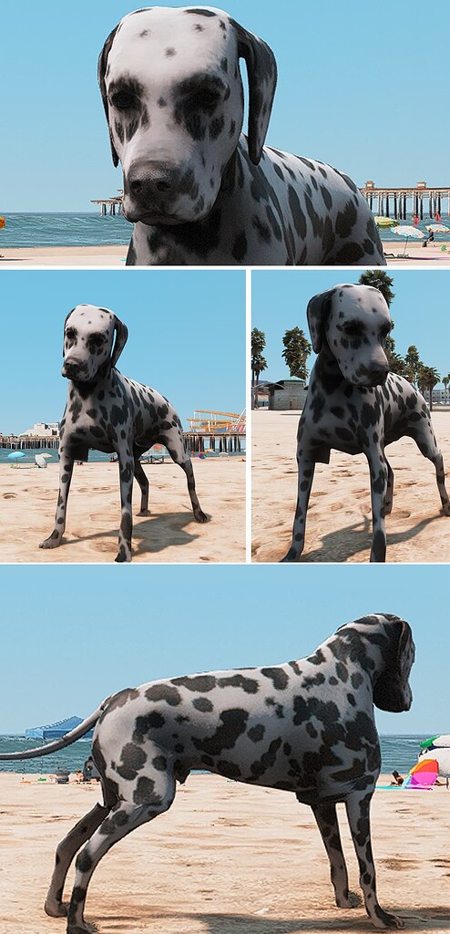 [PAID] FUTURE Dalmatian [PED] [DOG] [PETS] - FiveM Releases - Cfx.re ...