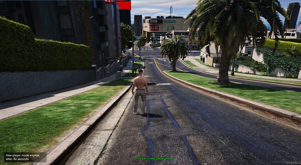 [PAID] New Player Mode | Mest3r_newplayer - FiveM Releases - Cfx.re ...