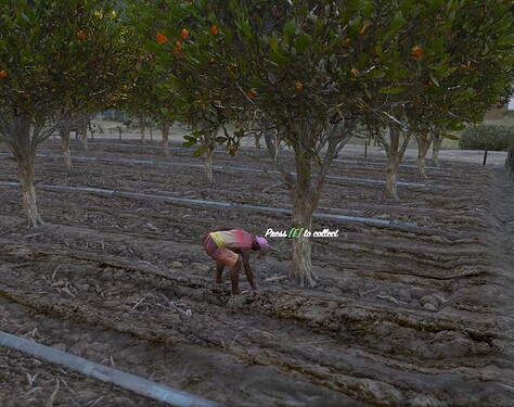 [ESX | Sandalone] Farming Oranges - FiveM Releases - Cfx.re Community
