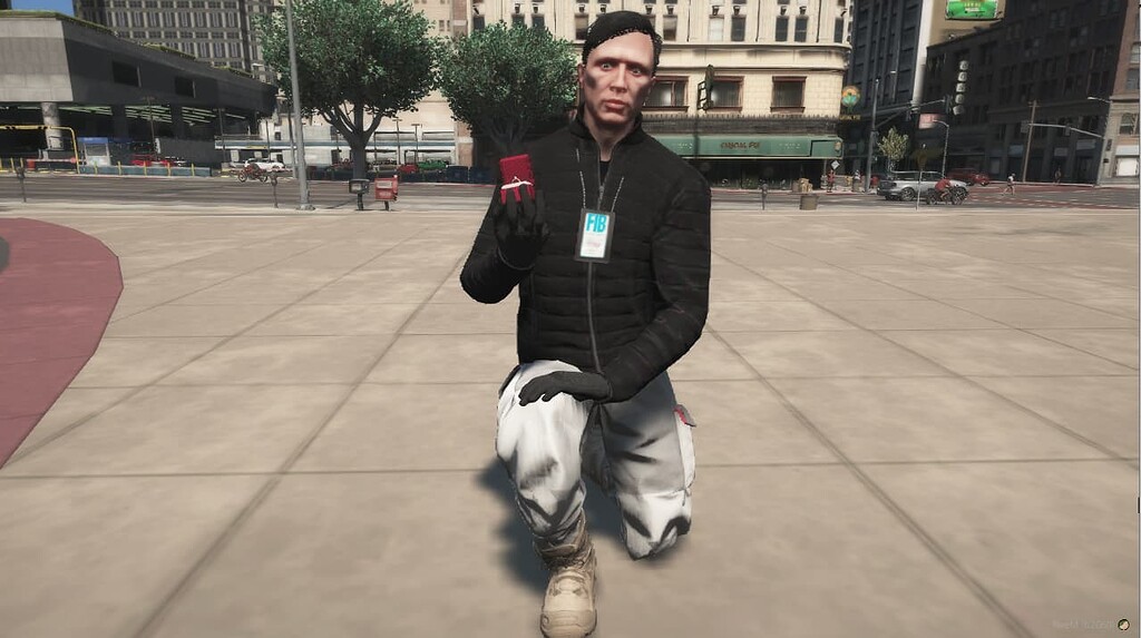 [FREE] Propose custom animation - FiveM Releases - Cfx.re Community