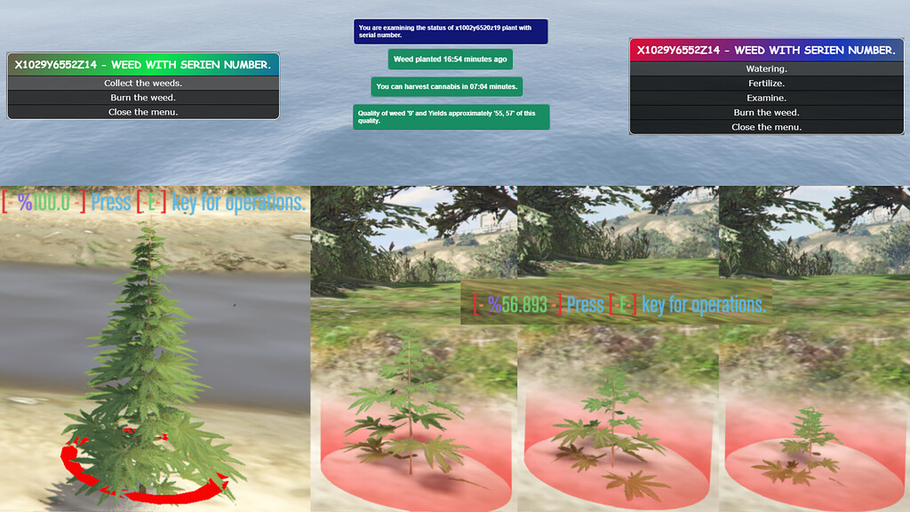 Realistic weed script. Can be harvested after 1 day(adjustable),DB ...