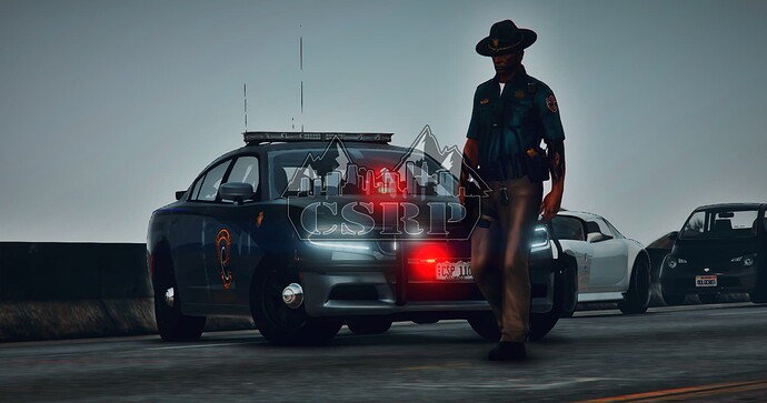 Colorado State Roleplay | Now Recruiting! - Server Bazaar - Cfx.re ...