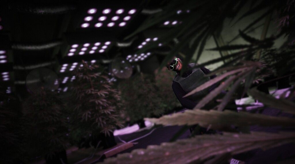Weed ye - FiveM Snapmatic - Cfx.re Community