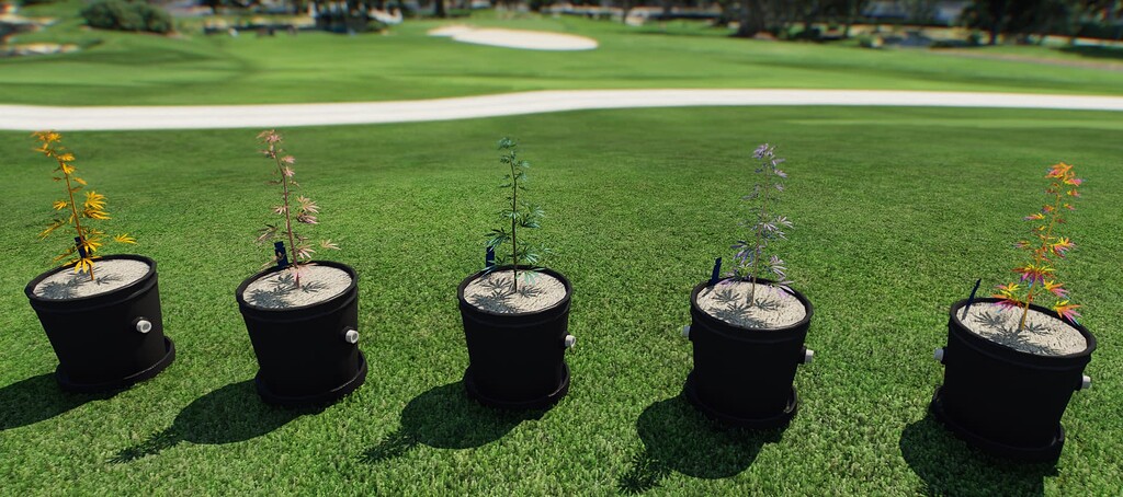 Colorful Weed Props! - Page 2 - FiveM Releases - Cfx.re Community