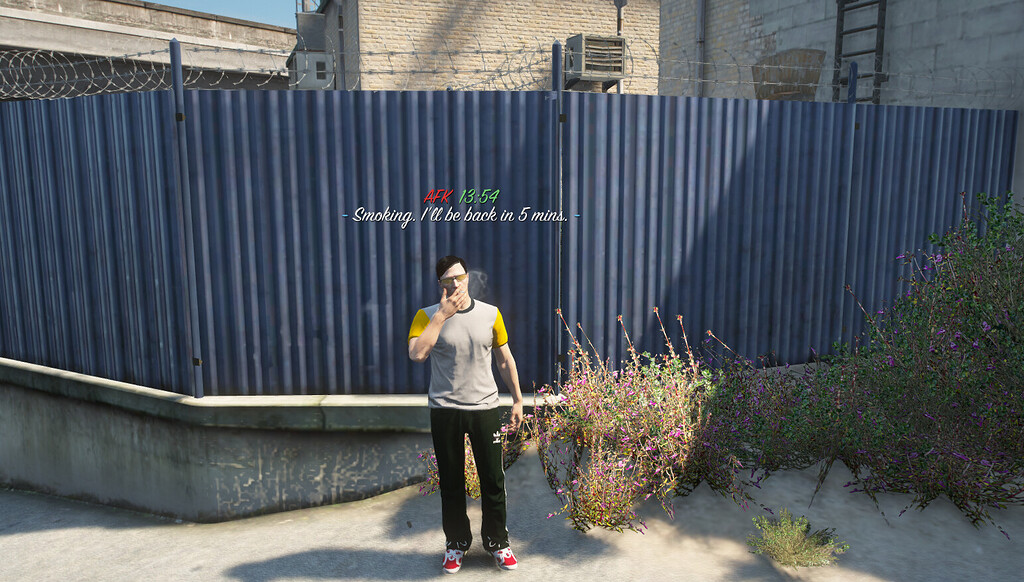 [Standalone] Rufi_AFK (Show custom AFK text) - FiveM Releases - Cfx.re ...