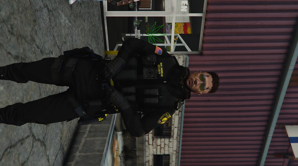 Buccaneer Way - FiveM Snapmatic - Cfx.re Community