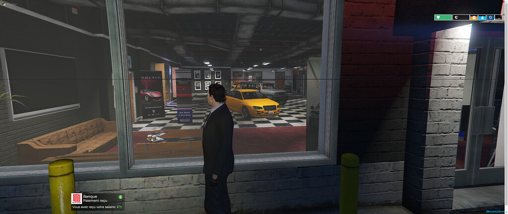 Graphics issue - Line in the middle of the view - FiveM Client Support ...