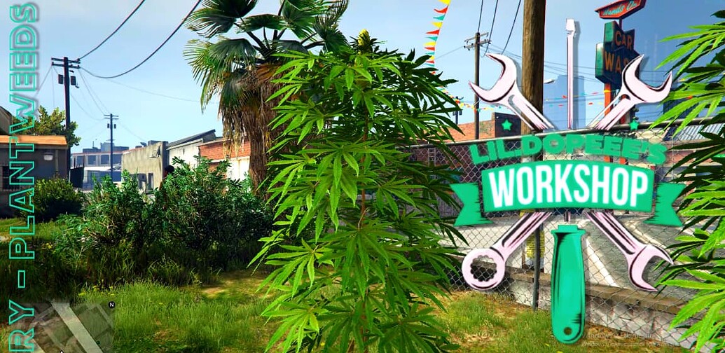 [PAID][ESX&QB] - Databased&Realistic Weed Planting - FiveM Releases ...