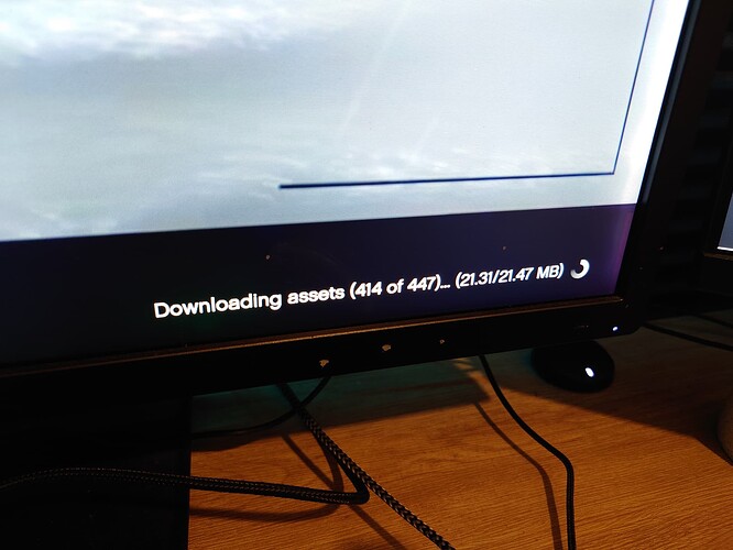 Stuck on a loading screen with downloading assets - FiveM Client ...