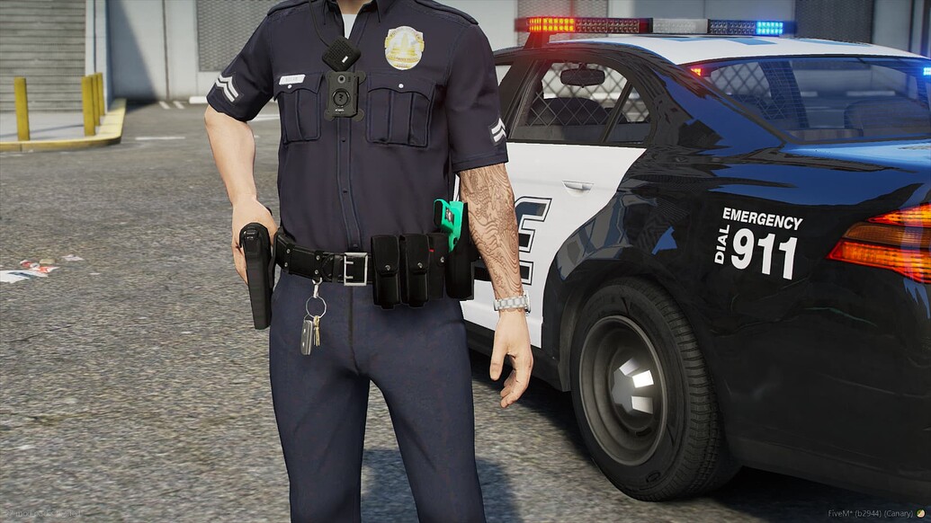 [Paid] Advanced Police Animations - FiveM Releases - Cfx.re Community