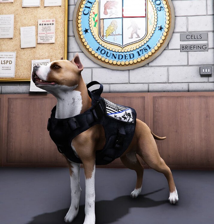 [PAID] FUTURE PitBull Terrier [PED] [DOG] [PETS] - FiveM Releases - Cfx ...