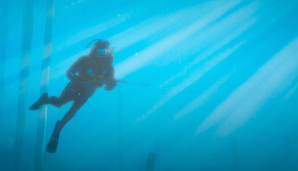 Spearfishing [QBCORE/ESX/any framework] - FiveM Releases - Cfx.re Community