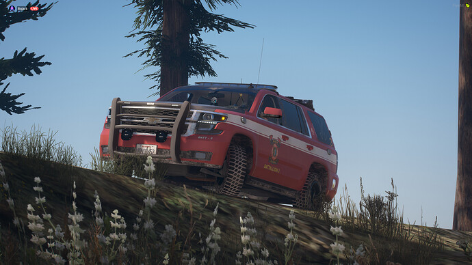 BackwoodsRP | FiveM Community - Server Bazaar - Cfx.re Community