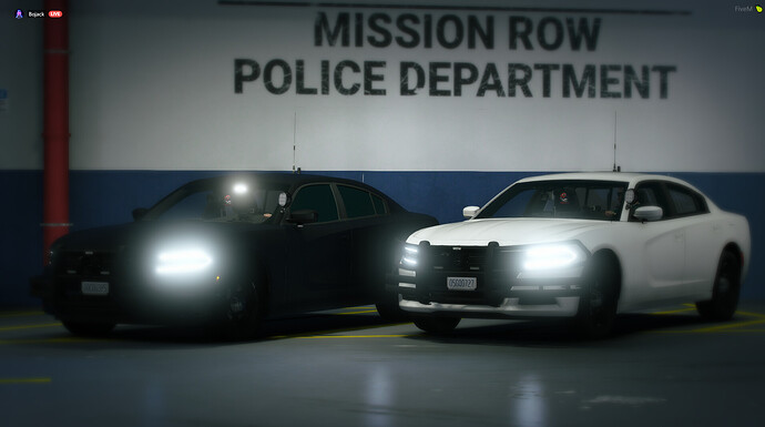 BackwoodsRP | FiveM Community - Server Bazaar - Cfx.re Community