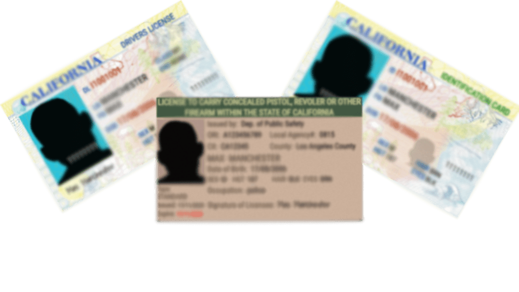 [ESX] California Based License System (Paid) - FiveM Releases - Cfx.re ...