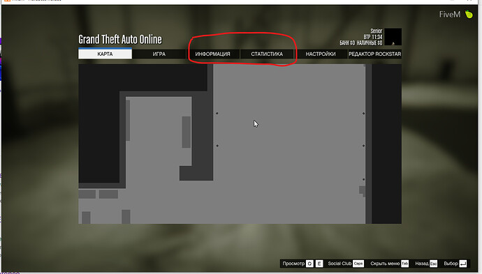 [HELP] Pause menu items - Discussion - Cfx.re Community