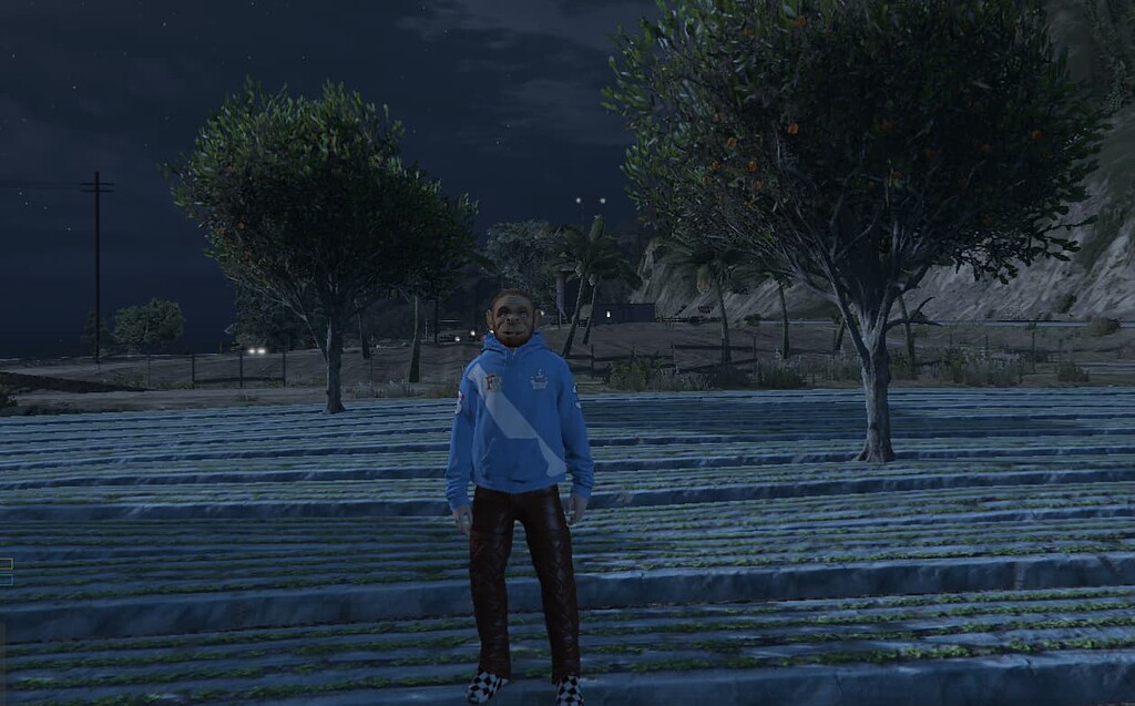 RKL FRUITS 3 in 1 Weight System - FiveM Releases - Cfx.re Community