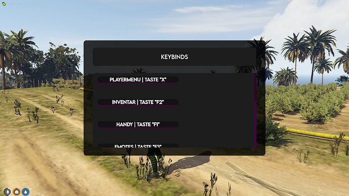 [Standalone] [UI] sa_keybinds - FiveM Releases - Cfx.re Community