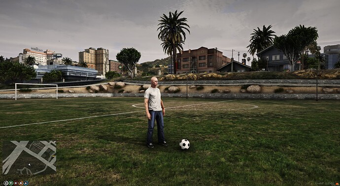 Animations for Soccer Resource? - Discussion - Cfx.re Community