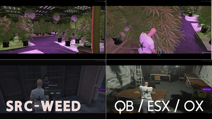 SRC-WEED [qb/esx/ox] - FiveM Releases - Cfx.re Community
