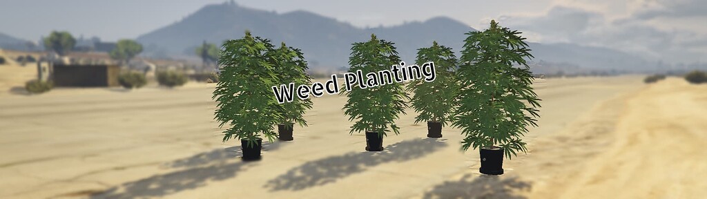 [PAID][QBCore]Kamkus weedplanting | Plant weed from everywhere - FiveM ...