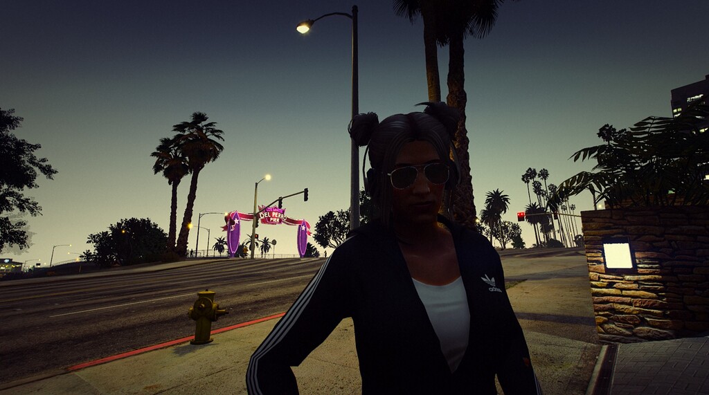 Del Perro Freeway - FiveM Snapmatic - Cfx.re Community