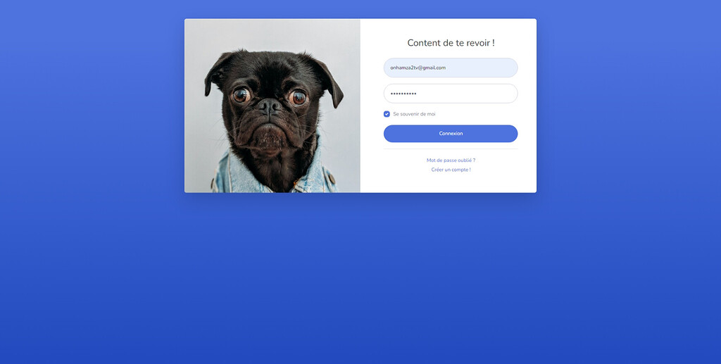 [PAID] [STANDLONE] Web Panel - A User & Admin Dashboard + Whitelist IP ...