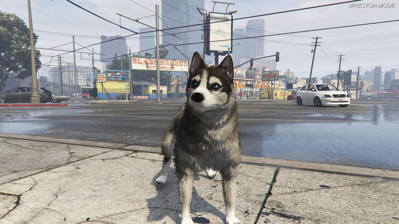 [How-To] Streaming edited replace ped at add-on Fivem - Resource ...