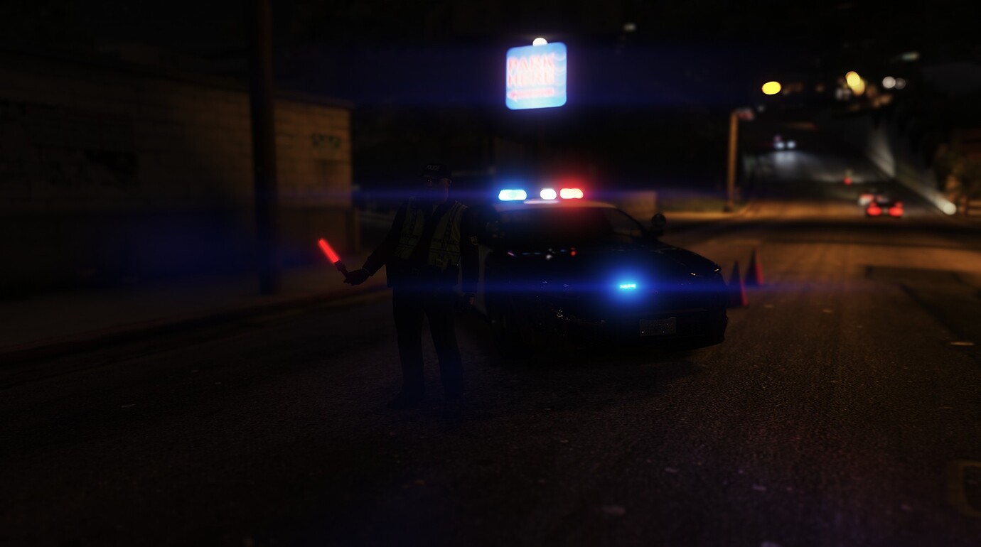 DUI Check - FiveM Snapmatic - Cfx.re Community
