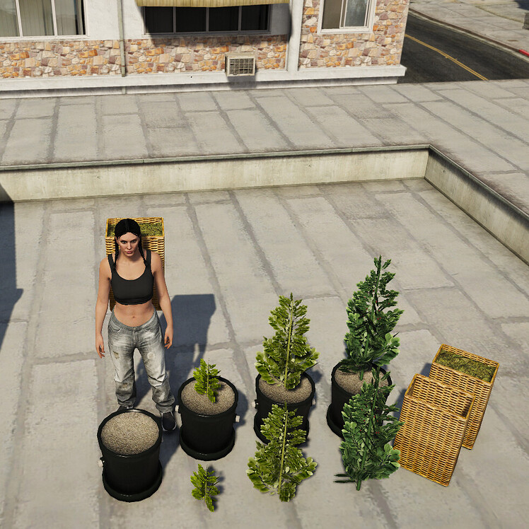 [ADDON] [PROPS] Coca plants - FiveM Releases - Cfx.re Community