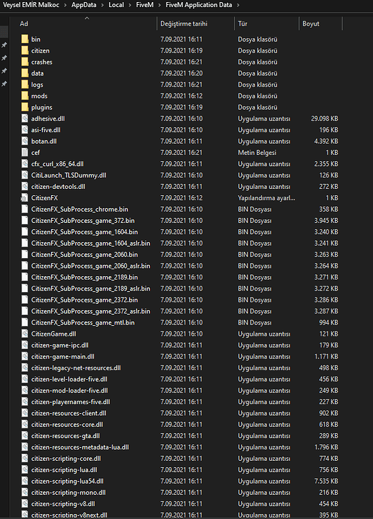 Fivem crashes when it start - FiveM Client Support - Cfx.re Community